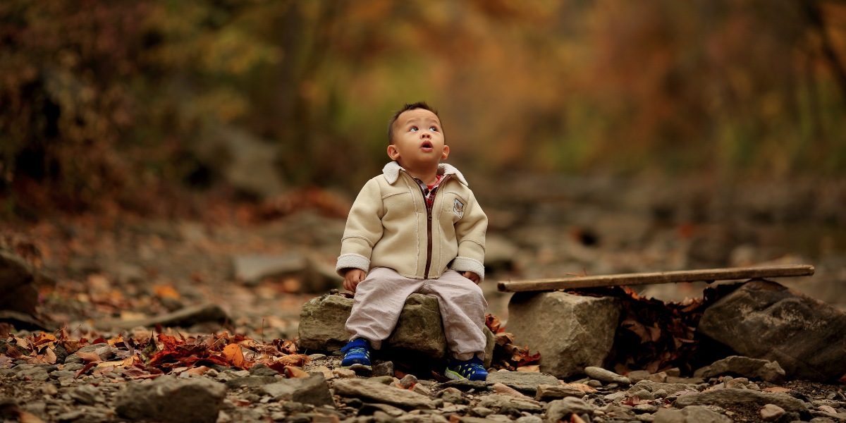 16 Fun Fall Activities Toddlers Will Love