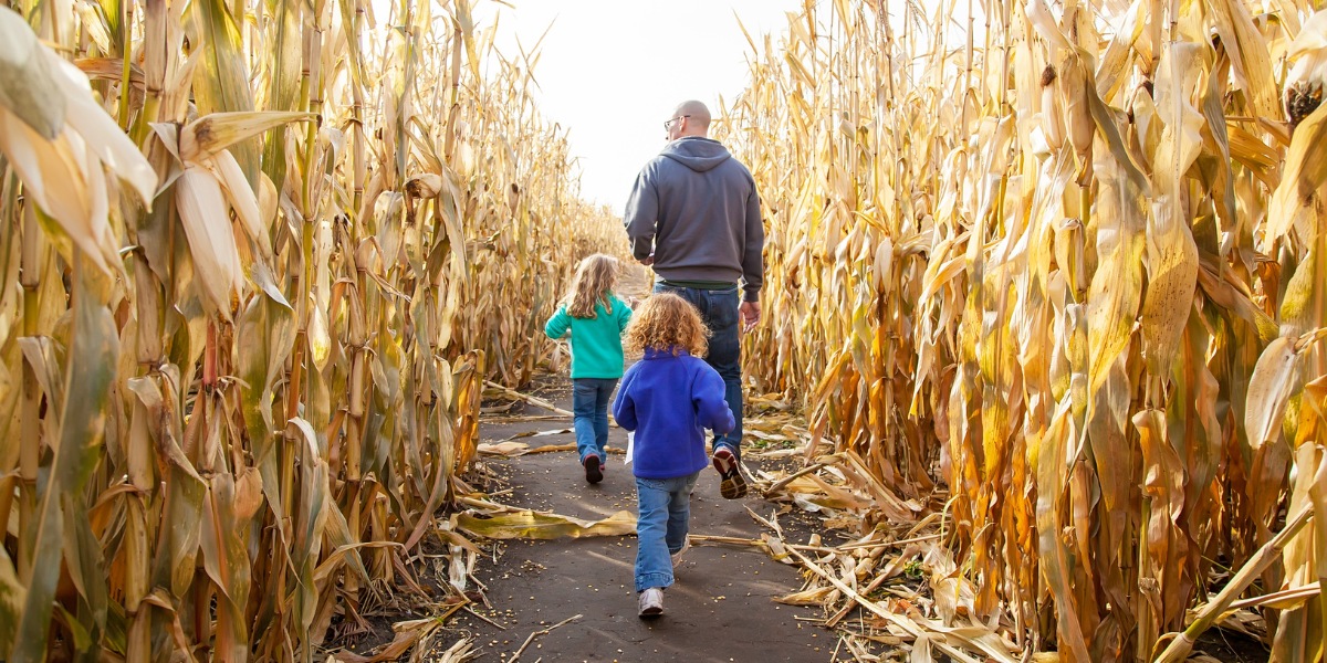 16 Fun Fall Activities Toddlers Will Love